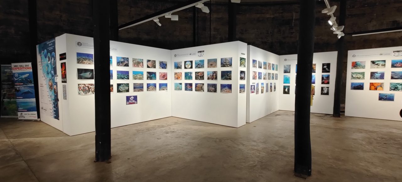2025 Underwater Photo Competition | Nautilus Scuba Club Cairns