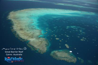 Reef Magic 1 | Nautilus Scuba Club Cairns