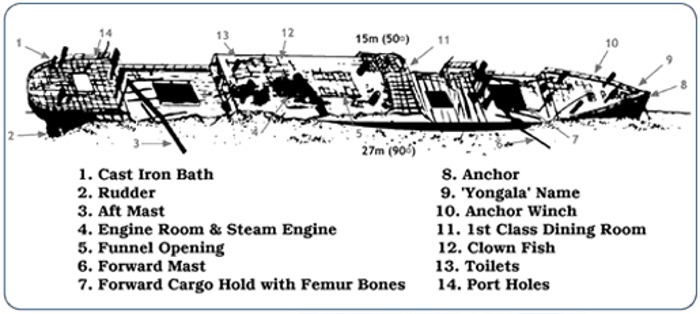 yongala_drawing | Nautilus Scuba Club Cairns
